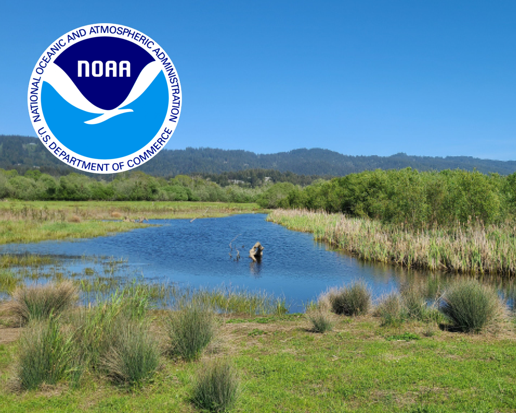 North Coast NMFS PBO – Protection Measures Selection Tool