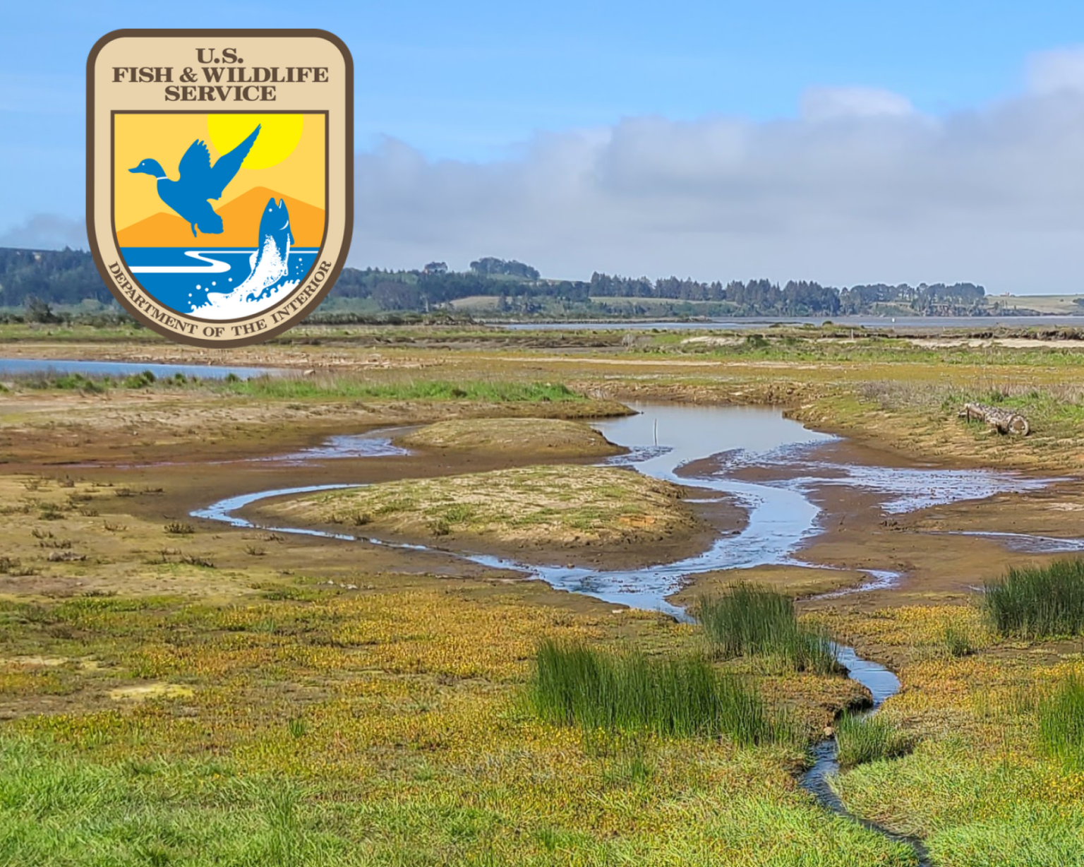 USFWS Statewide Restoration Programmatic Biological Opinion (PBO ...